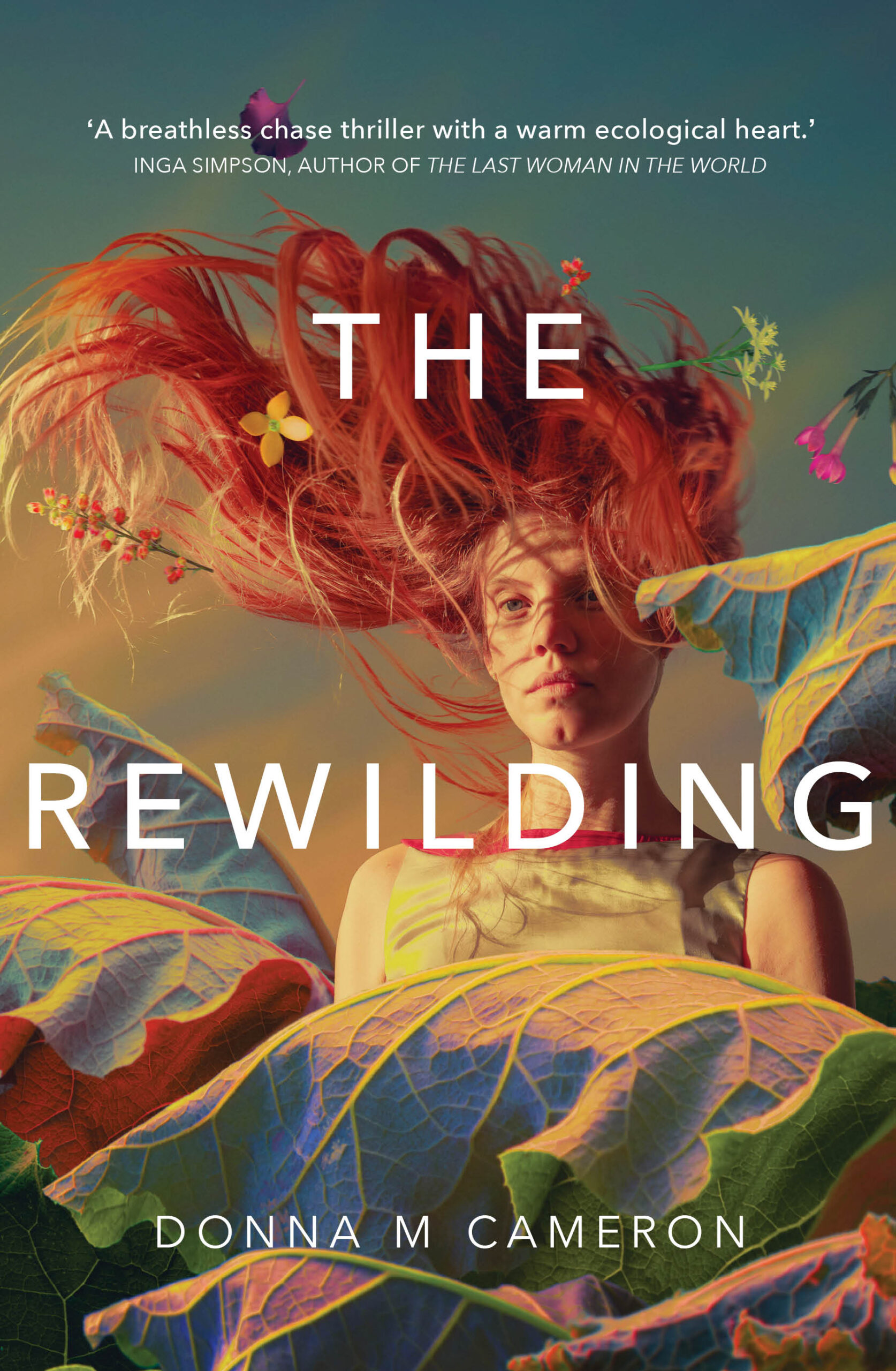 The Rewilding shortlisted for the Davitt Awards 2025 | Transit Lounge